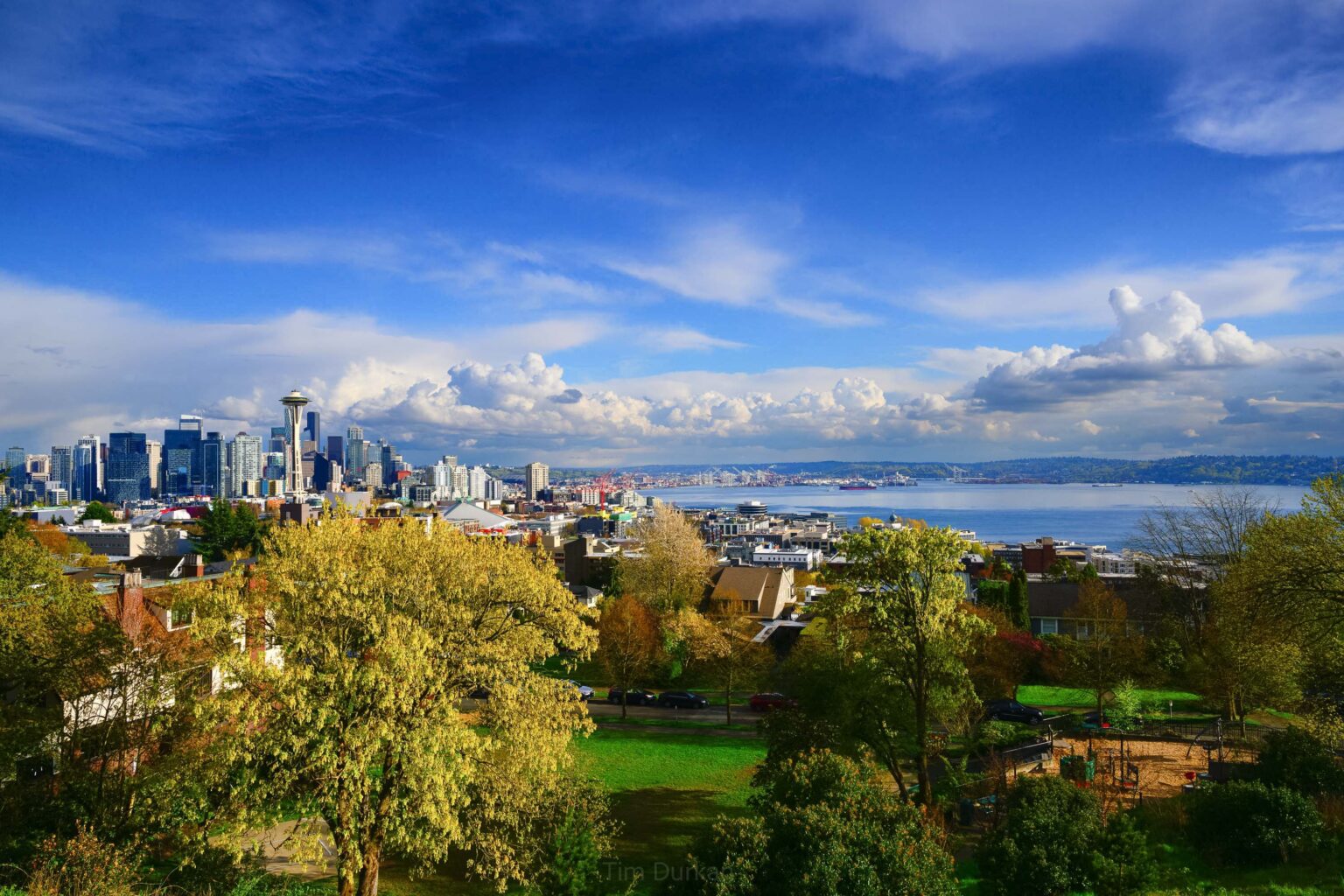 Seattle awarded $12.9 Million to plant trees, create jobs, advance ...